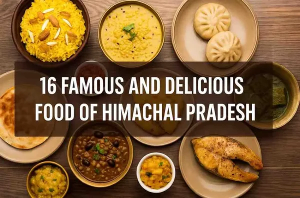 Himalayas Digital – Travel, Culture & Local Stories from the Himalayas